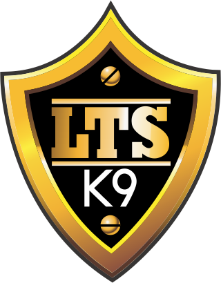 Services – LTS Protective